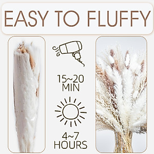 70PCS Natural Dried Pampas Grass Boho Home Decor Bouquet Phragmites Dried Flowers Bouquet for Wedding Floral Arrangements Home Decorations (70PCS)