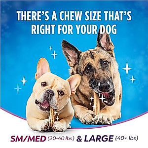 Purina Dentalife Plus Digestive Support Chicken and Pumpkin Flavor Small/Medium Dog Dental Chews - 19 ct. Pouch