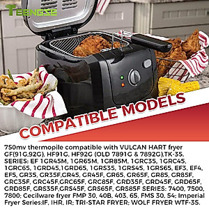 TEENGSE Pilot Burner 750 Millivolt Thermopile Assembly, Natural Gas & Propane Gas Pilot Orifice, Compatible with Cecilware Fryer Imperial Fryer Series