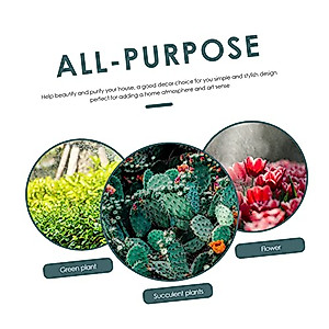 DOITOOL Plants 5pcs Gallon Planter Tray Flowerpot Plastic Water Dish Plant Pots