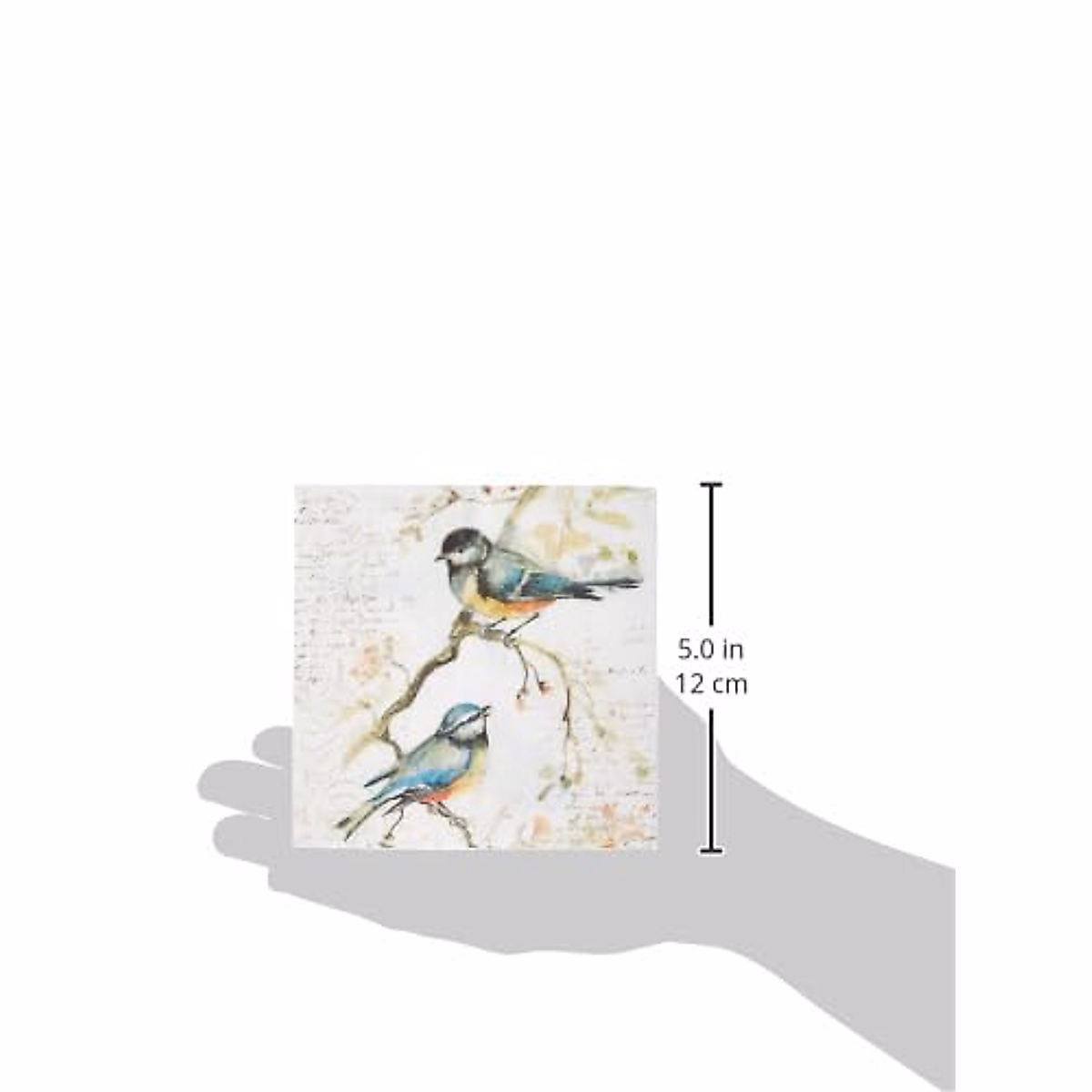 Boston International C811100 IHR Cocktail Beverage Paper Napkins, 5 x 5-Inches, Happy Little Titmice