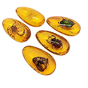 Garneck Crystal Amber Fossil with Insects, Inside Specimens Samples Stones Oval Pendant Collection Home Decorations Education Gift (Random Pattern)