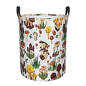 Laundry Basket,Pattern With Types Of Mushrooms Wild Species Organic Natural Food Garden Theme,Large Canvas Fabric Lightweight Storage Basket/Toy Organizer/Dirty Clothes Collapsible Waterproof For College Dorms-Large