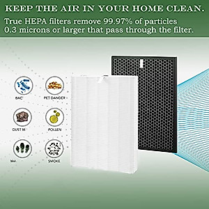 Skymechy 114190 Replacement Filter B Compatible with Winix 9500 U300 P300 WAC9000 WAC9500 WAC5000 WAC5000b WAC5300 WAC6300 WAC5500 Air Puri-fiers, The Size 21 Filter B, 1 Set