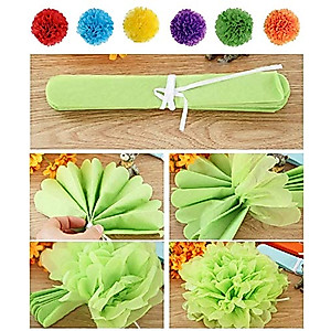 Taco Bout A Party Decorations Gold Cactus Balloons Engagement Bachelorette Birthday Taco Baby Shower Fiesta Party Theme Baby Shower Pregnancy Announcement Ideas Mexican Fiesta Theme Backdrop