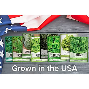 8 Leafy Garden Greens Seeds for Planting Individual Packets - Arugula, Collards, Spinach, Swiss Chard, Kale, Lettuce, Leafy and Butter Lettuce Seeds for Your Heirloom Salad Garden by Gardeners Basics
