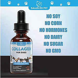 Liquid Collagen for Dogs : Collagen for Dogs : Dog Liquid Collagen : Dog Collagen : Dog Collagen Drops : Daily Collagen for Dogs : Collagen Dog : Collagen Dogs : Collagen Drops for Dogs : 1 fl oz