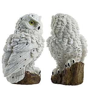 Angel Outdoor In-Ground Lights 1pcs Solar Lawn Light Prince Angel Solar Lawn Light, Solar Energy Outdoor Garden Light, Garden Light Outdoor Decoration, Outdoor Light Pile,Angel Garden (Brown Owl)