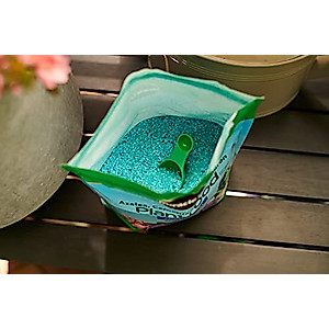 Miracle-Gro Water Soluble Azalea, Camellia, Rhododendron Plant Food - Fertilizer for Acid-Loving Plants & Flowers, 5 lb.