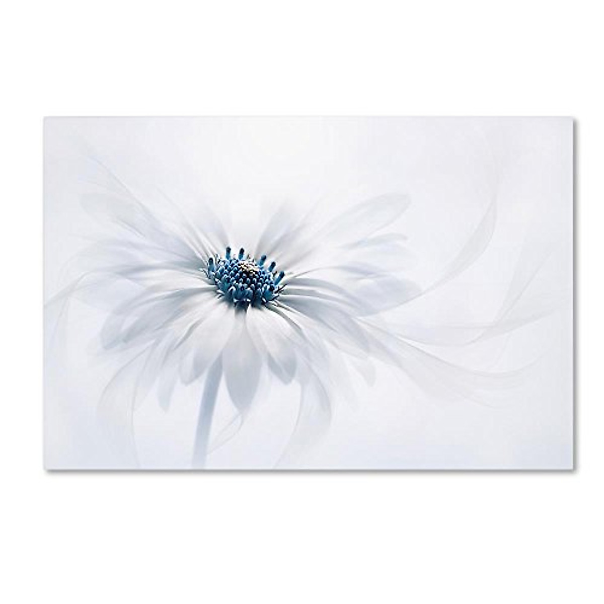 Serenity by Jacky Parker, 12x19-Inch Canvas Wall Art
