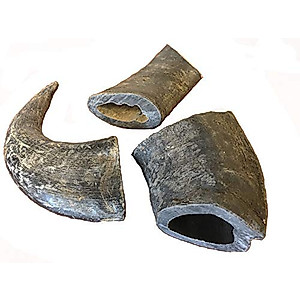 Durkha Horn: Long Lasting 100% Natural Water Buffalo Horn Dog Chews, Dog Treats, Bone, Dog Toys (Small (3 CT/Min. 3 OZ))