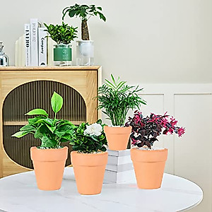 Baxrou 2.55 Inch Terra Cotta Pots 30pcs Small Mini Clay Pots with Drainage Holes,Cactus Flower Nursery Terracotta Pots for Indoor/Outdoor Succulent Plants, Crafts, Wedding Favor