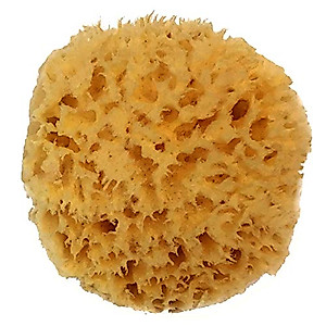 Natural Sea Wool Sponge 4-5" by Spa Destinations ® Amazing Natural Renewable Resource Creating The in Perfect Bath and Shower Experience