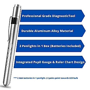 Pen Lights (Silver/Silver)