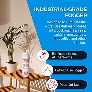 Kinzua Environmental Punch Bug Bomb, Insect Fogger Kills All Mosquito, Cockroach, Flea, Ant, Spider & More, Insect Foggers for Indoor & Outdoor Use, Non-Staining, Water-Base Formula, 6 oz, Pack of 3