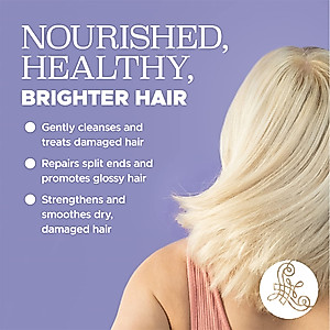 Luseta Purple Shampoo for Women - Blonde, Grey, Color Treated, Curly and Damaged Hair - 16.9oz, Sulfate & Paraben Free