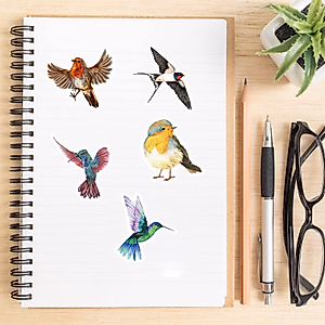 100 PCS Bird Stickers, Vinyl Waterproof Bird Stickers for Water Bottles, Laptop, Notebook, Scrapbook, Luggage, Cell Phone, Skateboard, Helmet