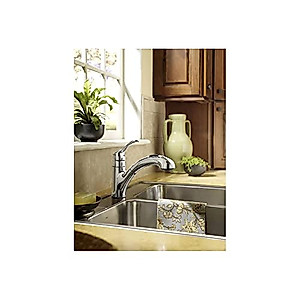 Moen Renzo One Handle Chrome Pull Out Kitchen Faucet
