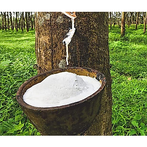 100% Natural Latex Mattress Topper - 2" Thick (Medium, Queen)