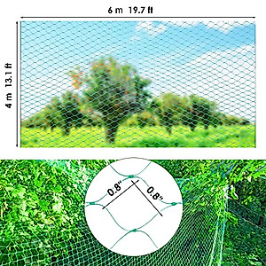 Ruolan Bird Netting for Garden Protect Vegetable Plants and Fruit Trees,Plastic Trellis Netting for Birds, Deer,Squirrels and Other Animals