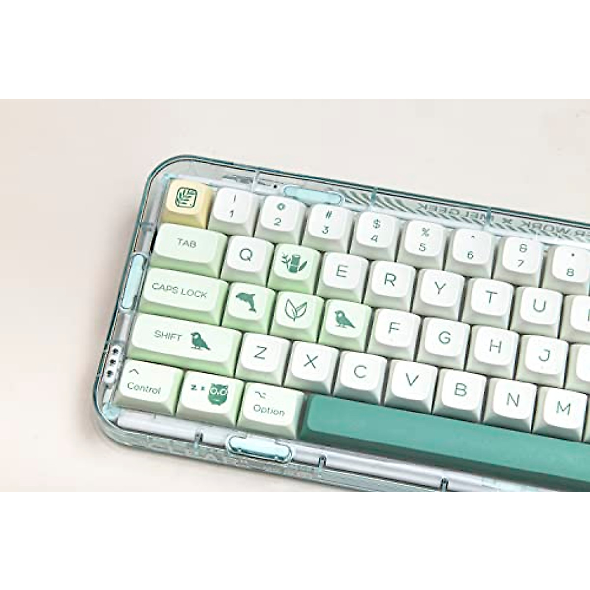 Cmokifuly Botanical Keycaps XDA Profile Keycaps Custom Keycaps for Mechanical Keyboard,144 Keys Set PBT Keycaps Dye Sublimation Keycaps (Botanical Garden)