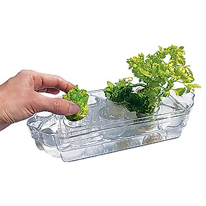 Indoor Gardening System/Small/No Electricity Needed/All Year Round/Hydroponic Growing The Easy Way/Propagate-Regrow in Your Kitchen/I Re Grow