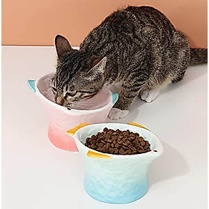 Raised Tilted Ceramic Cat Food Bowl - Cute Pink Fish Shape Elevated Slanted Shallow Angled Cat Dish - Personalized Pet Feeder for Kitty Dry Wet Treats Feeding - Ergonomic Anti Vomiting Whisker Fatigue