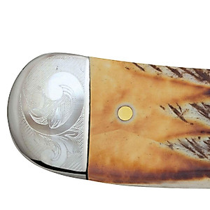 Case WR XX Pocket Knife Trapper 6.5BoneStag Handle with Tru SharpTM Stainless Steel Blades and Scrolled Bolsters Trapper 4 1/8 inches Closed