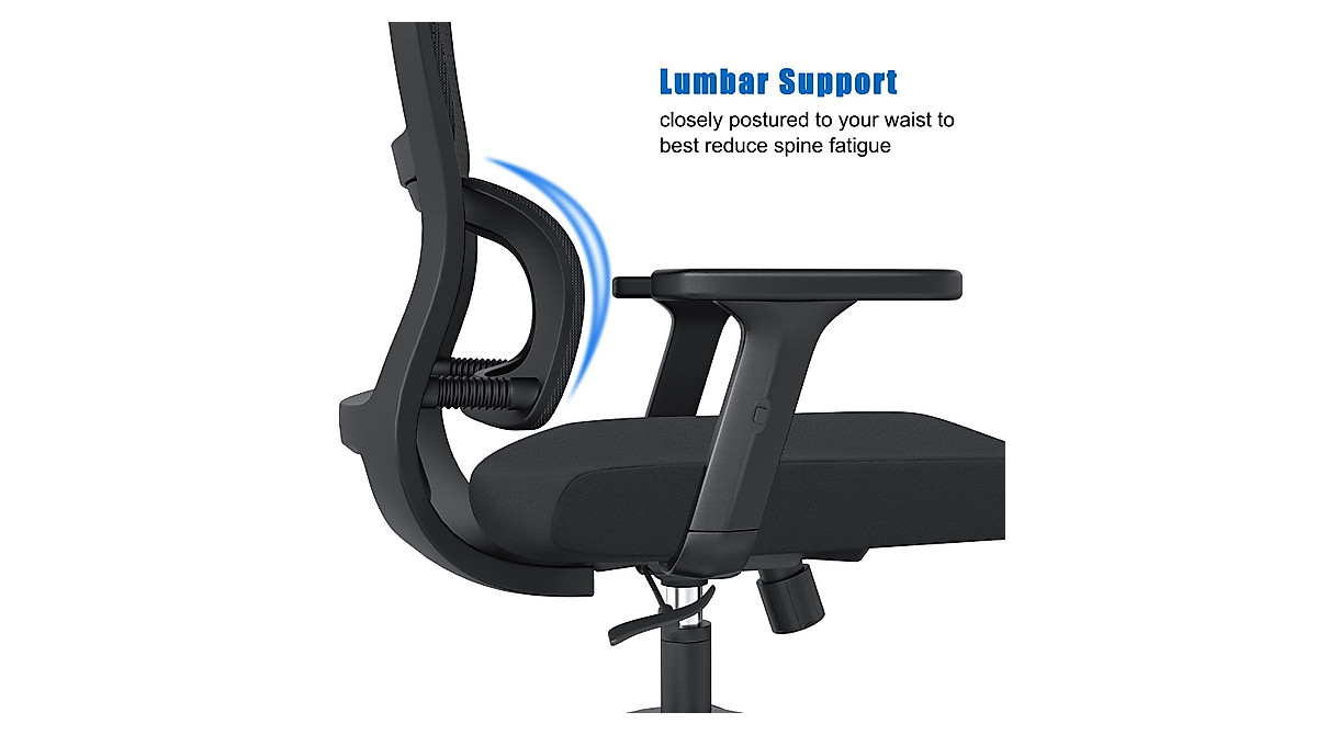 Ergonomic Office Chair: Lumbar Support, Adjustable Comfort