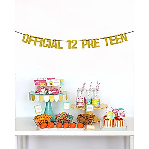 Official 12 Pre Teen Banner, Boy/girl 12th Birthday Banner, Cheers to 12 Years Banner, 12 Years Loved Blessed Decorations Banner, Happy 12th Birthday Anniversary Party Decoration Supplies Gold Glitter