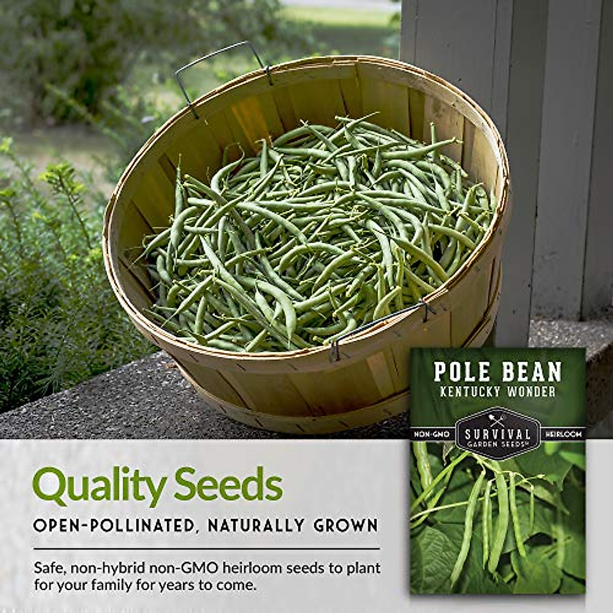 Survival Garden Seeds - Kentucky Wonder Pole Bean Seed for Planting - Packet with Instructions to Plant and Grow Delicious Snap Beans in Your Home Vegetable Garden - Non-GMO Heirloom Variety