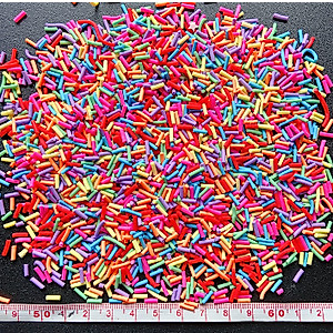 EHOPE 50g Fake Sprinkles Resin Sprinkles Fake Candy Sprinkles Clay Sprinkles Polymer Sprinkles Polymer Clay Slices for Nail Art DIY Crafts Cake Phone Case(21-Colorful Sugar）
