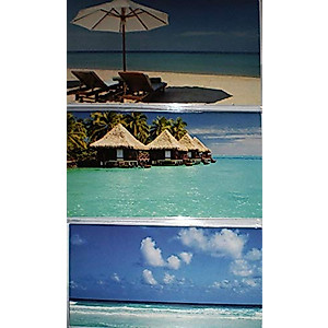 2024-2025 Tropical Two Year Pocket Planners - Set of 3