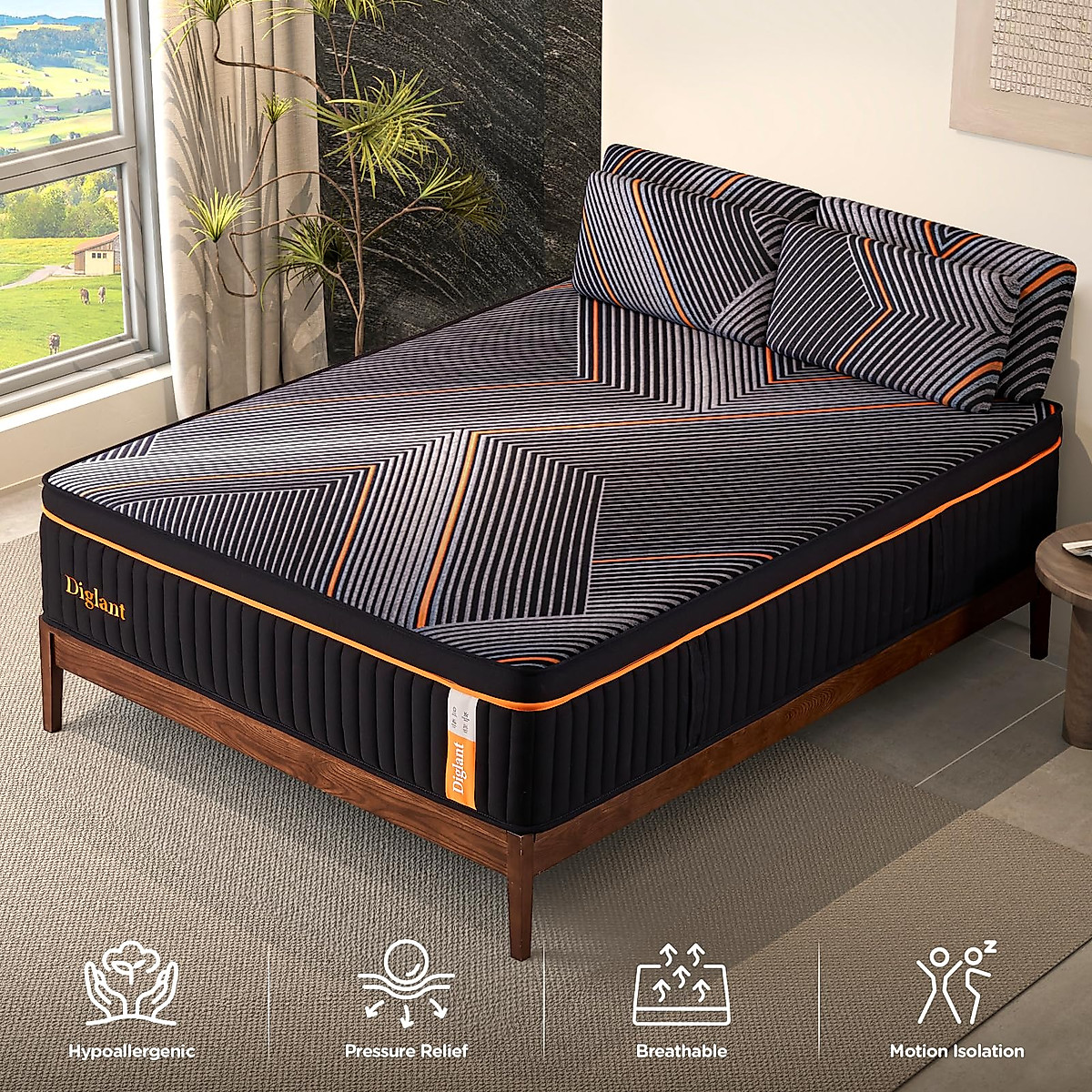 DIGLANT Queen Mattress, 14 Inch Plush Hybrid Mattress, Black Memory Foam with Individually Pocket Coils Mattress Queen Size in Box, Euro Top Mattress for Pressure Relief,Balanced Support, 60"*80"