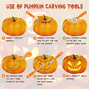 Dolirapa Mural Wall Art Pumpkin Carving Kit with Pack - 6 PCS Professional Carving Tools Jack O Lantern Party Stainless Steel Pumpkin Knife Cutting Tool Set,With Thick Handbag