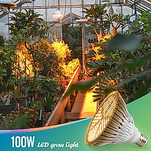 100W LED Grow Light Bulb, 2 Pack Full Spectrum 150 LED Plant Light Bulb for Indoor Plants, E26/27 Base Grow Light Bulbs, 160 Degree Warm Lighting Lamp for Flower Hydroponic Organic Growing Greenhouse