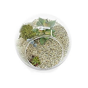 2 Pounds Natural Coarse Silica Sand - for use in Crafts, Decor, Gardening, Vase Filler, Aquariums, Terrariums and More