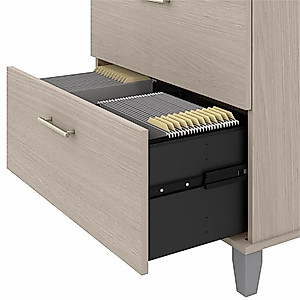 Pemberly Row 2 Drawer Lateral File Cabinet in Sand Oak - Engineered Wood