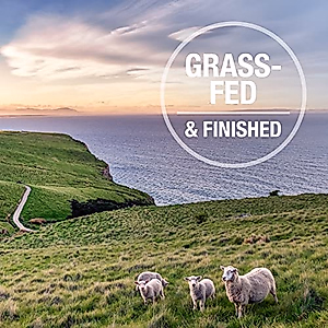 Feline Natural Grain-Free Freeze Dried Cat Food, Chicken & Lamb 11oz