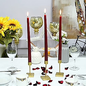 Zest Candle 12-Piece Taper Candles, 12-Inch, Burgundy