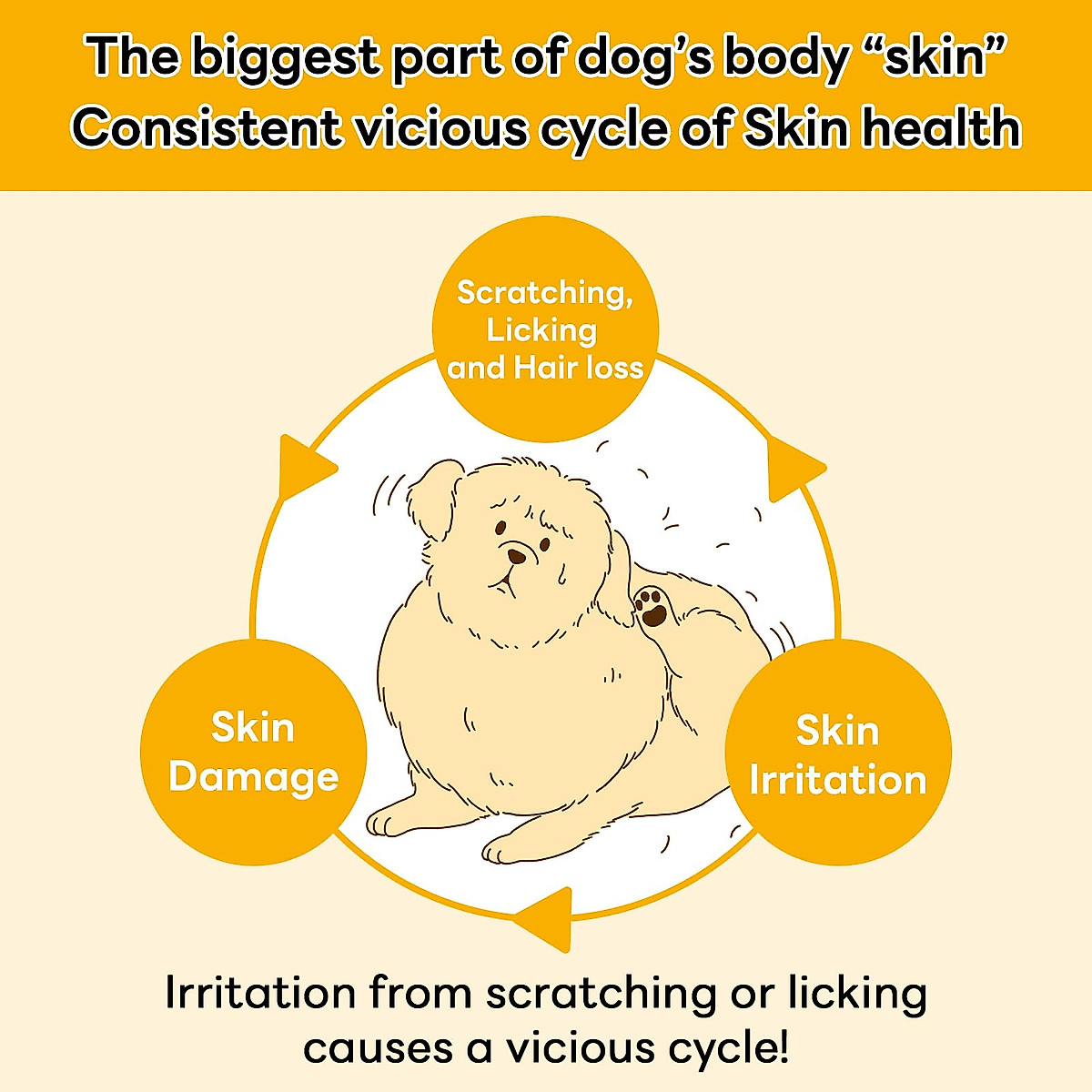 DOCTOR BY Skin & Coat – Natural Supplement for Dog’s Itch Relief and Shiny Coat with Omega 3 Fish Collagen, Spirulina, Probiotics - 30 Individually Packaged (1 Pack)