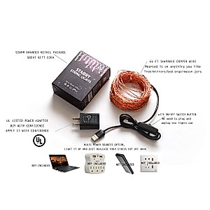 12APM Dimmable Starry Fairy Copper String Lights, 66 ft 200 LEDs with USB Plug in Powered for Bedroom Indoor Wedding Party Halloween Thanksgiving Christmas Ambiance Lighting, IP 65 Waterproof