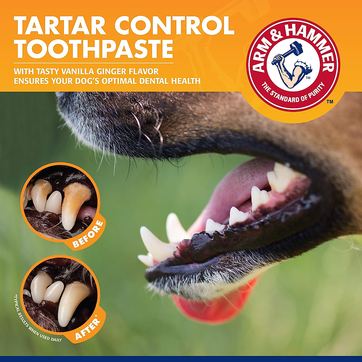 Arm & Hammer for Pets Tartar Control Dental Training Kit for Puppies | Dog Toothbrush, Toothpaste, & Fingerbrush, Total Kit for Ideal Puppy Dental Health | Yummy Vanilla Ginger Flavor