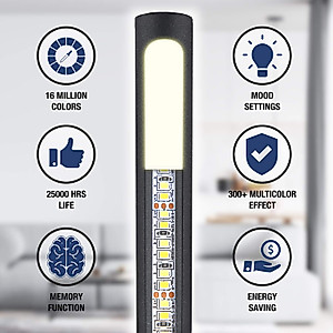 Harmony - Smart LED Lamp with Alexa and Google Home Compatibility - RGB Floor Lamp with 200 Dynamic Presets, with Timer, Memory, Dimmer - Black Iron, 55” Tall