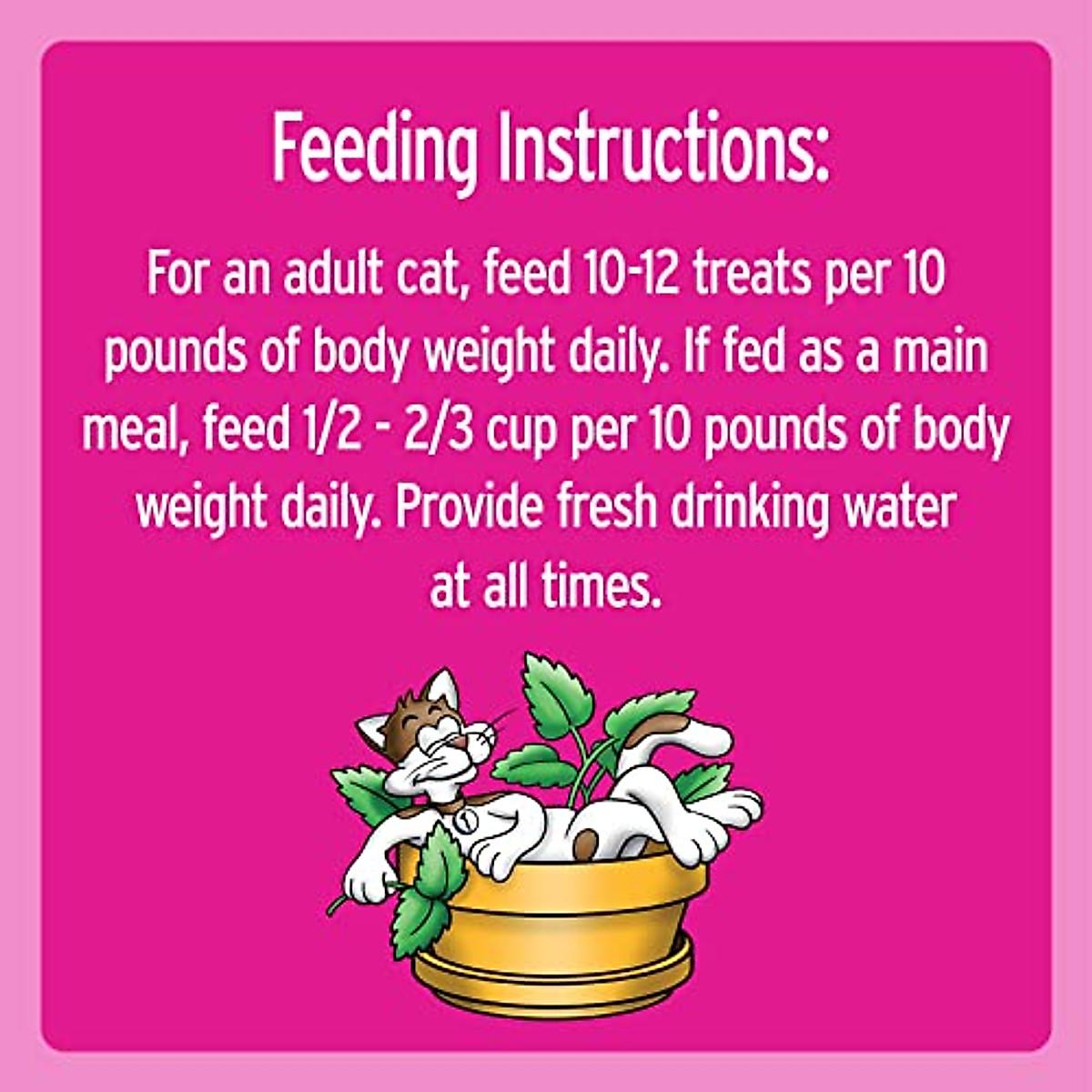 TEMPTATIONS Classic Crunchy and Soft Cat Treats Blissful Catnip Flavor, 16 oz. Tub