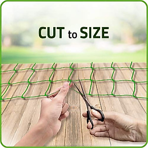 De-Bird: Trellis Netting for Climbing Garden Plants, Grow Garden Flowers, Green Pea and Vine Plants