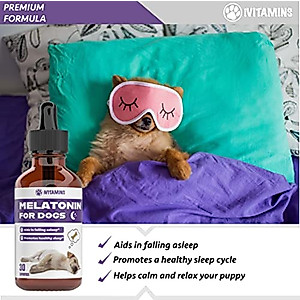 Melatonin for Dogs | Dog Melatonin | Melatonin for Dogs Sleep | Sleep Aid for Dogs | Dog Sleep Aid | Dog Calming | Calming for Dogs | Dog Calming Treats | Dog Anxiety Relief | (2 Pack)