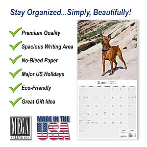 2023 2024 Miniature Pinscher Calendar - Dog Breed Monthly Wall Calendar - 12 x 24 Open - Thick No-Bleed Paper - Giftable - Academic Teacher's Planner Calendar Organizing & Planning - Made in USA