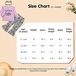 SYNPOS Toddler Girl Newborn Infant Clothes Set, Baby Girl Gifts Set Long Sleeve Sweatshirts Tops Pants Outfits