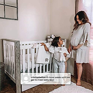 Delta Children Miles 4-in-1 Convertible Crib, Greenguard Gold Certified, Bianca White/Textured Cloud